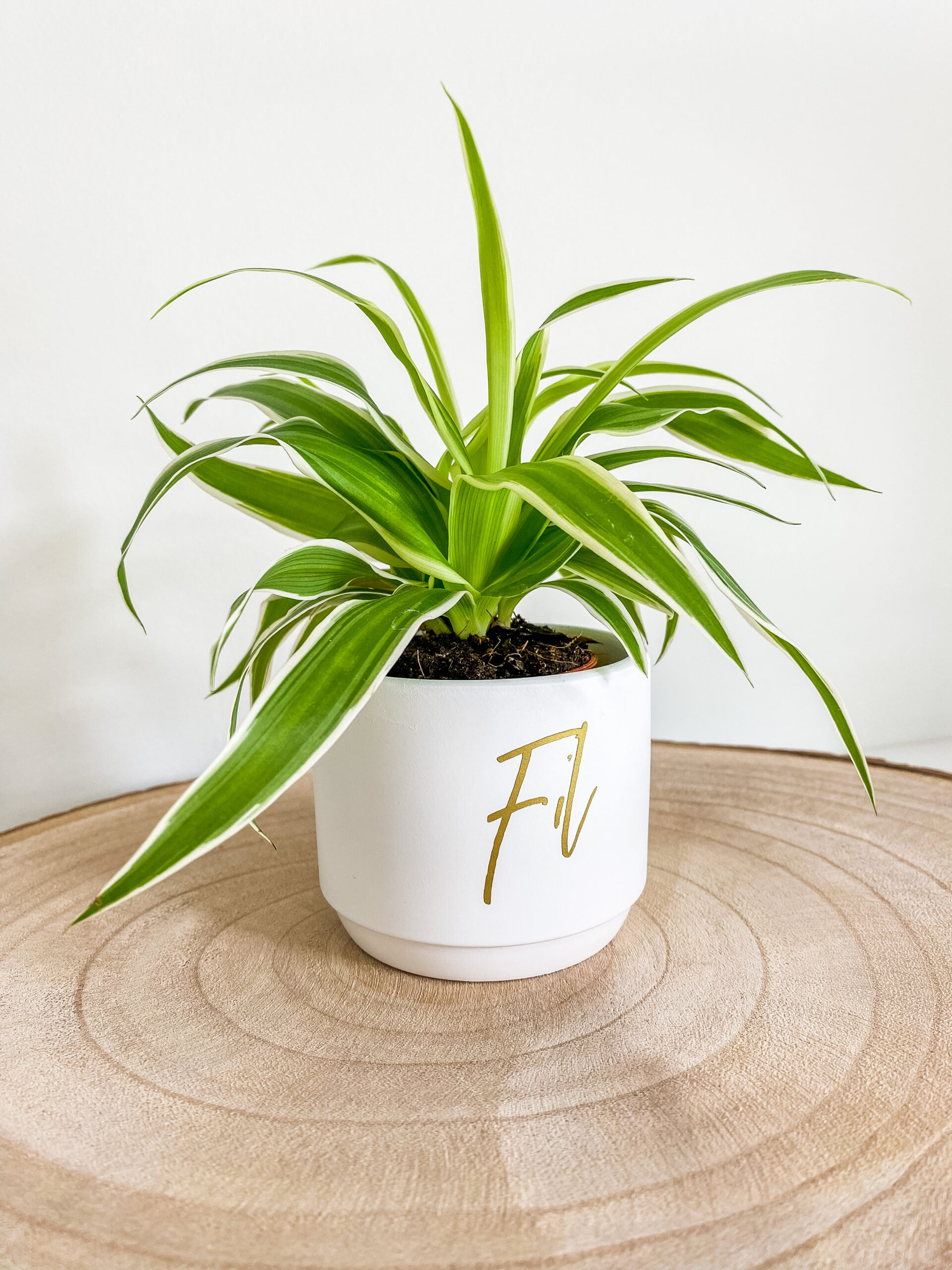 Bloempotje | Little Sky